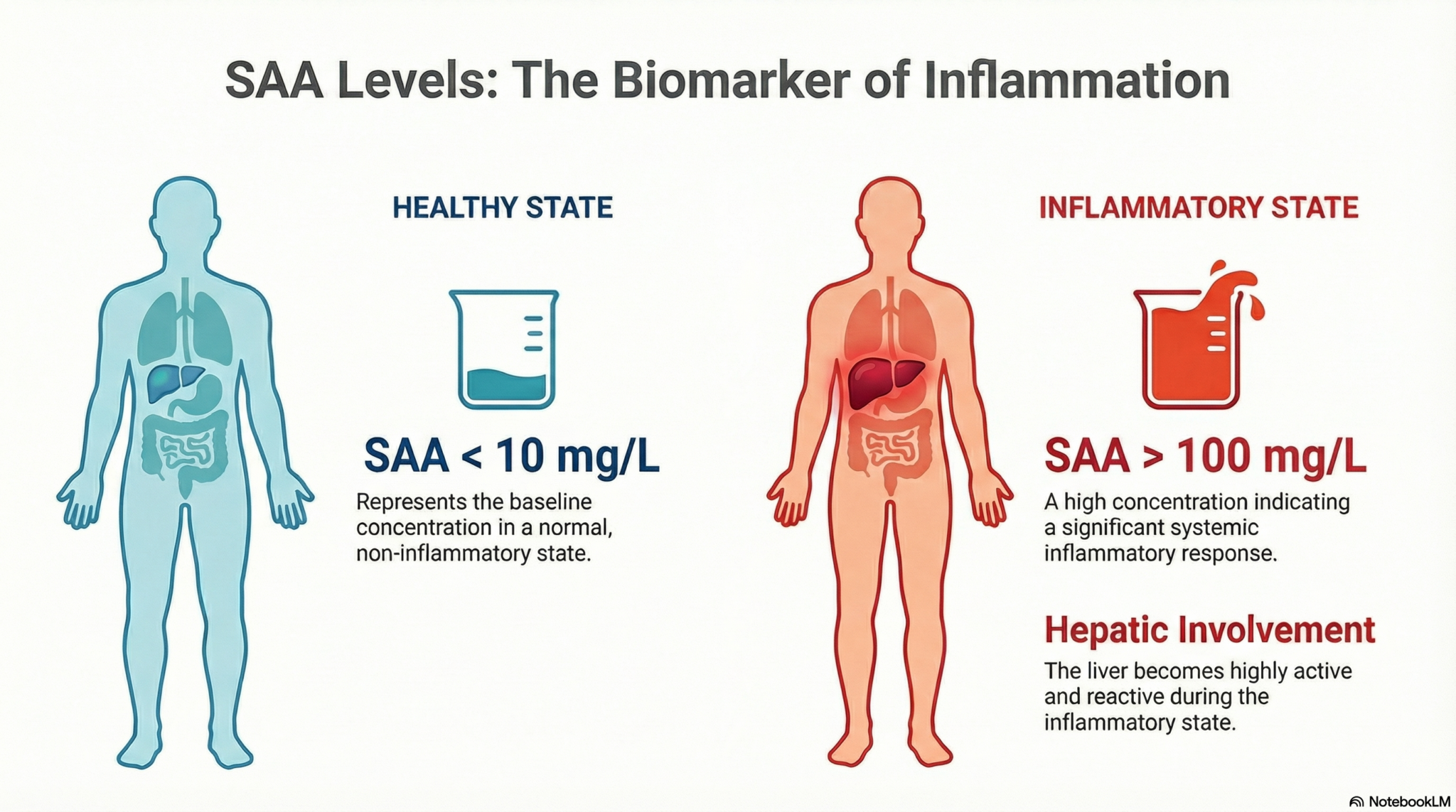 What is Serum Amyloid A (SAA) Test? - MedLab Insight